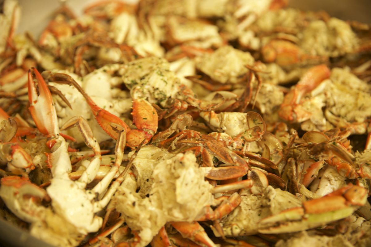 Photos – Rustic Inn